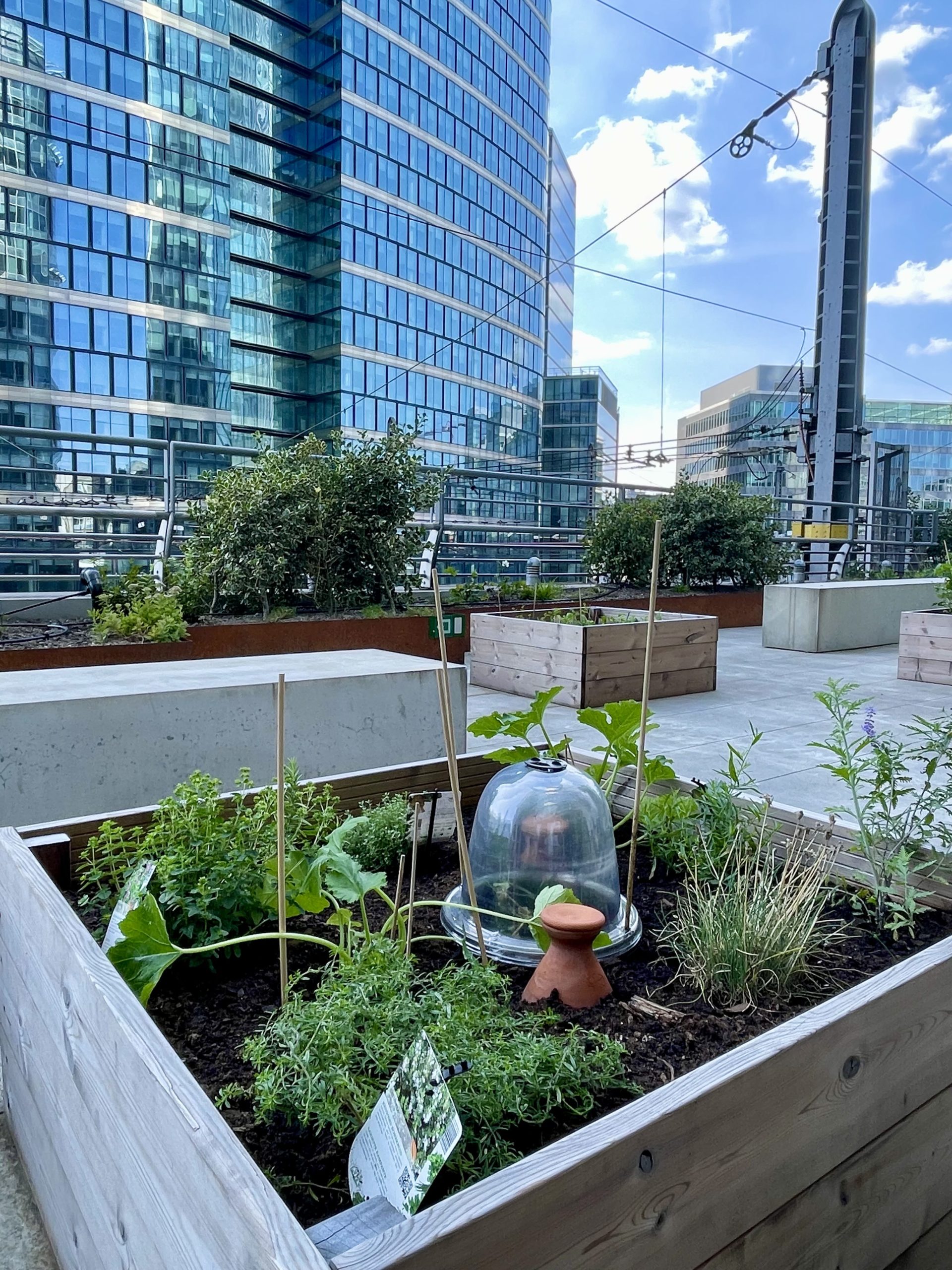 Biodiversity and vegetable garden at the Botanic tower : Vegetable ...
